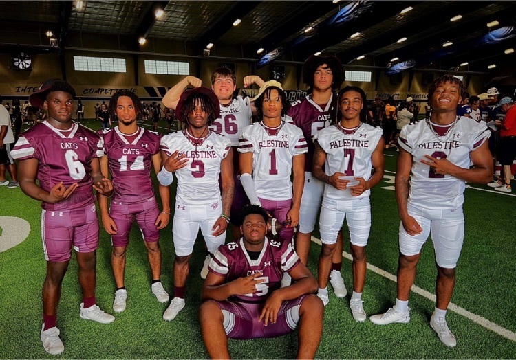 News | Palestine High School